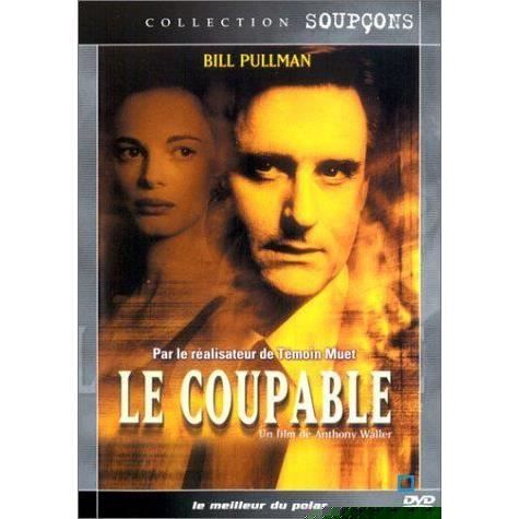 DVD Le coupable - Cdiscount DVD