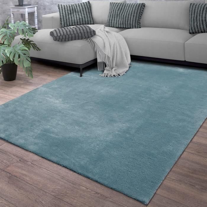 Tapis Poil Ras Tapis De Salon Monochrome Design Moderne Lavable ...