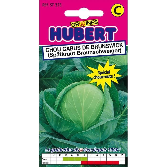 Graines de Chou Cabus de Brunswick - 3 grammes[799] - Cdiscount Jardin