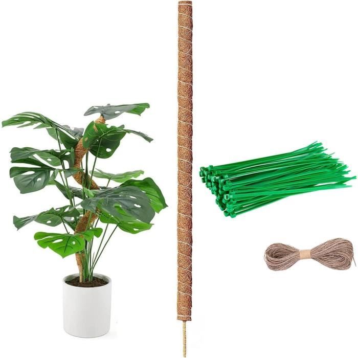 114Cm Tuteur Plante, PliableTuteur Coco, Plante Tuteur Monstera pour ...