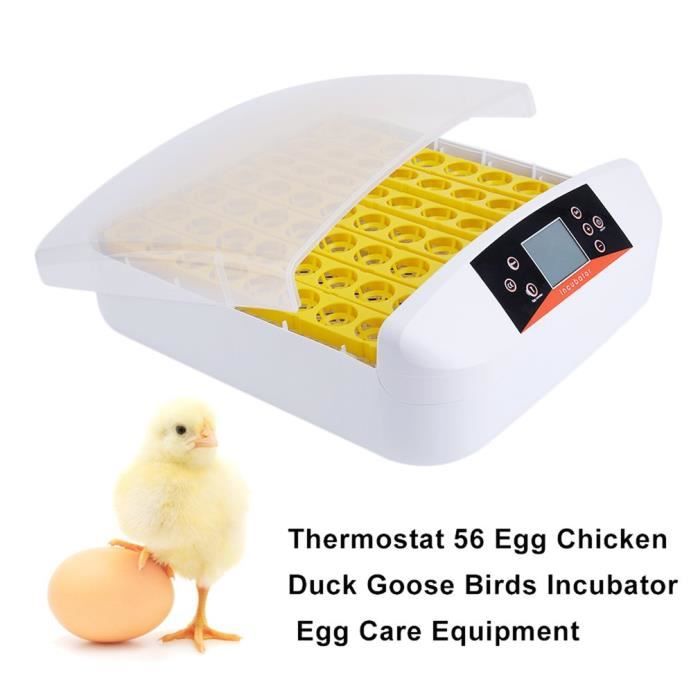 Thermostat Incubateur 56 oeufs Poulet Oie Canard Oiseaux Incubateur ...