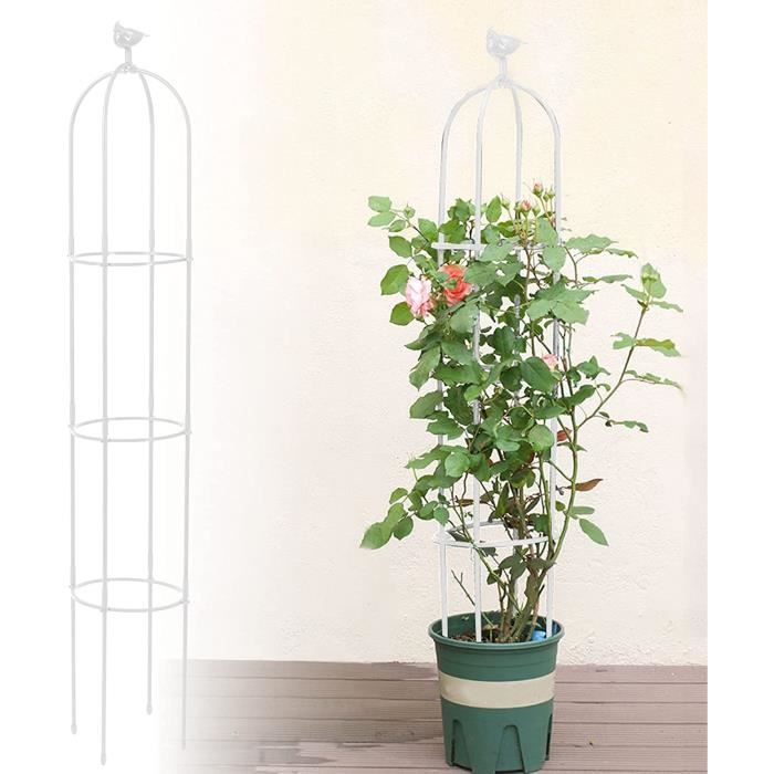 Kalolary 1,8 m Obélisque Jardin Haut pour Plantes Grimpantes Treillis d ...