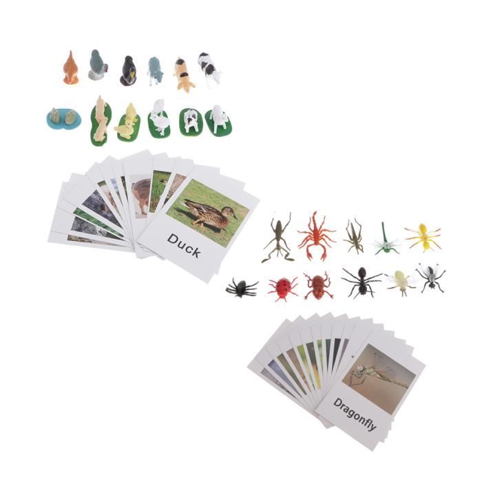 Jeu d'apprentissage - UNBRANDED - Modèle et carte d'animaux de ferme 12 ...