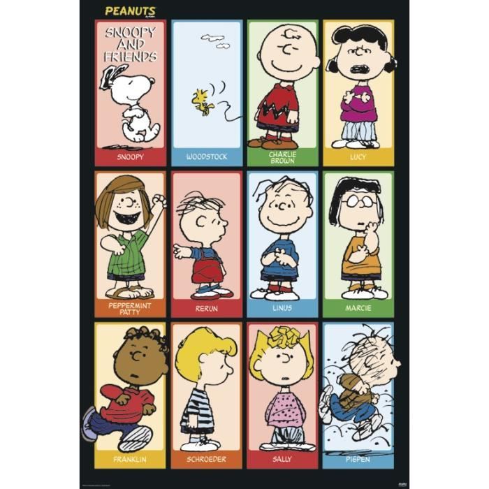 POSTER Snoopy + un poster surprise en cadeau! - Cdiscount Maison