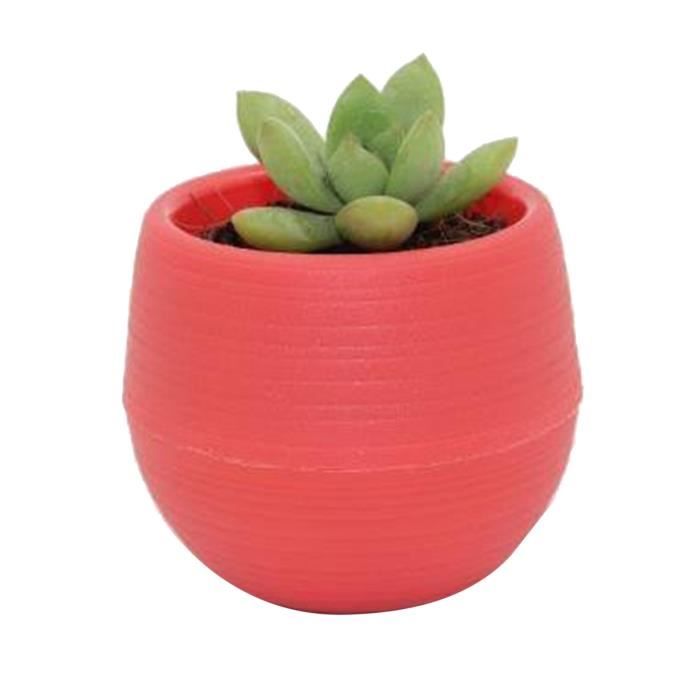 KIMISS Pot de semis Pot Succulent Mini Conteneur de Fleurs de Semis Pot ...