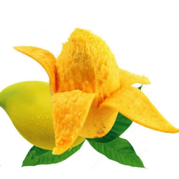 2 PCs/Pack Mini Mangue Arbre graines rares fruits plantes bonsaï Maison ...