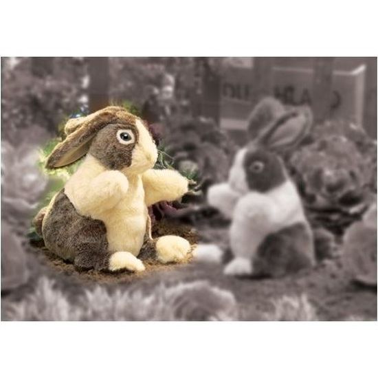 Marionnette et théâtre Dutch Rabbit Folkmanis Puppets - A partir de 3 ...