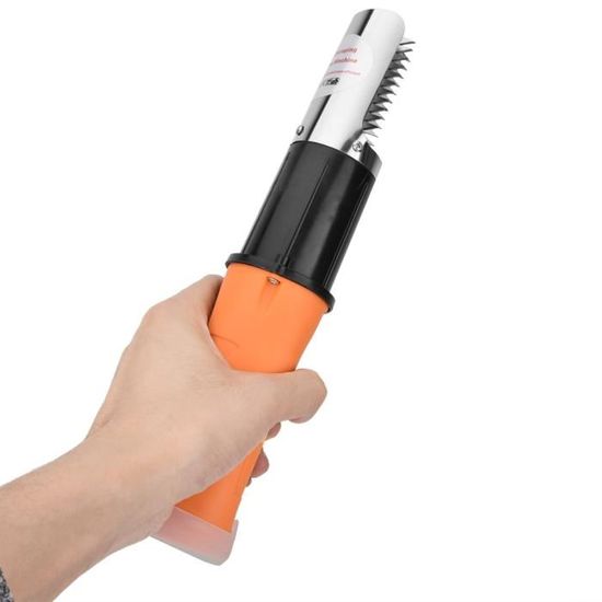 TMISHION Écailleur de poisson électrique Éplucheur de Légumes à Asperges en Acier Inoxydable ...