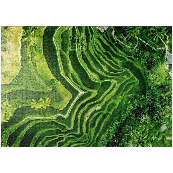 Plantation Riz Bali Indonésie Premium Pièces Puzzle Collection spéciale ...