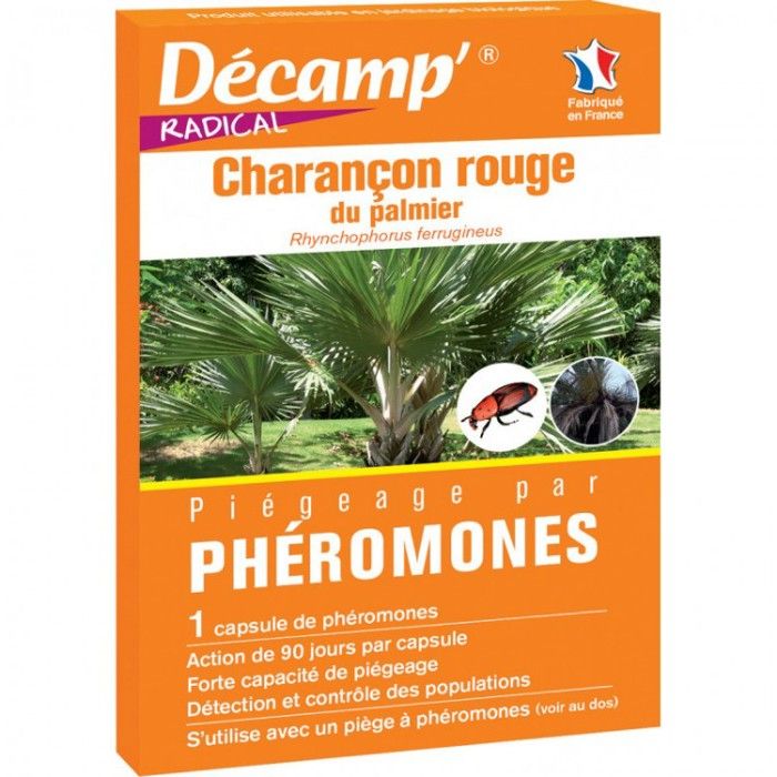 Décamp - Phéromone contre le charançon rouge du palmier (1 capsule ...