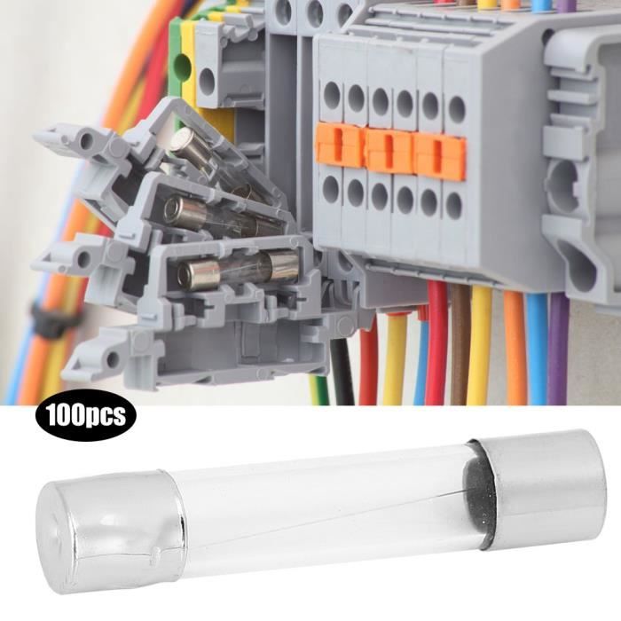 ROM Fusible En Verre Tube De Fusible Ac250V 100Pcs Ac250V Fusible En Tube De Verre Kit De ...