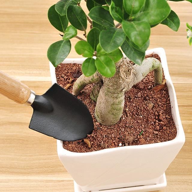 PELLE,--Mini pelles de jardin et outil à griffes avec manche en bois ...