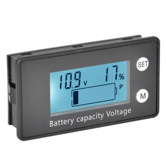 YOSOO Voltmètre de batterie Voltmètre numérique LCD Équipement de ...