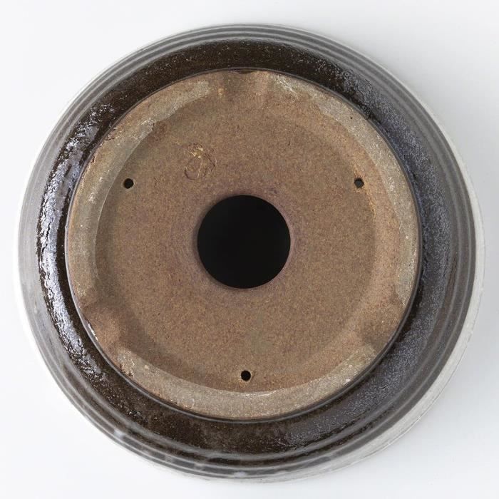 Wazakura Shigaraki Series Pot à Bonsaï en Céramique à Rayures Blanches ...