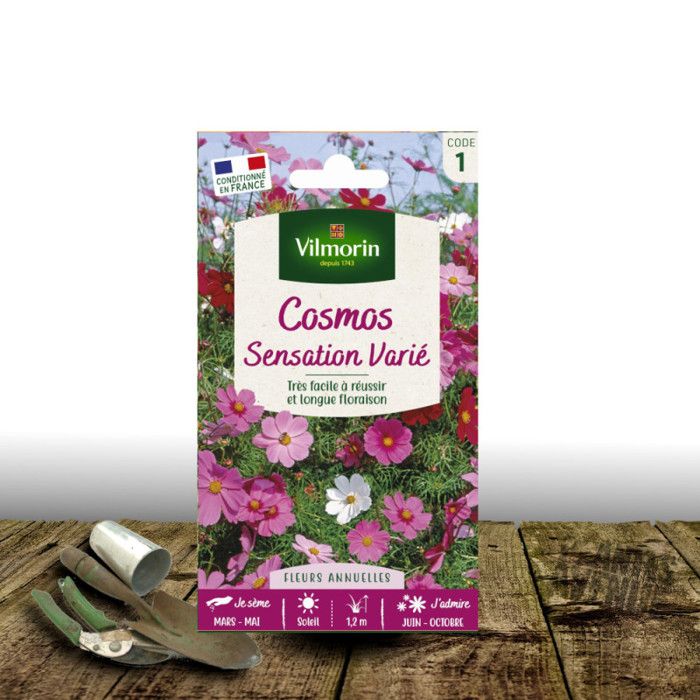 Graines de Cosmos Sensation varié à grands fleurs - Vilmorin ...