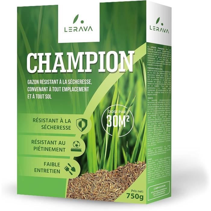 Champion - Gazon A Semer Résistant À La Sécheresse - Gazon Regarnissage ...