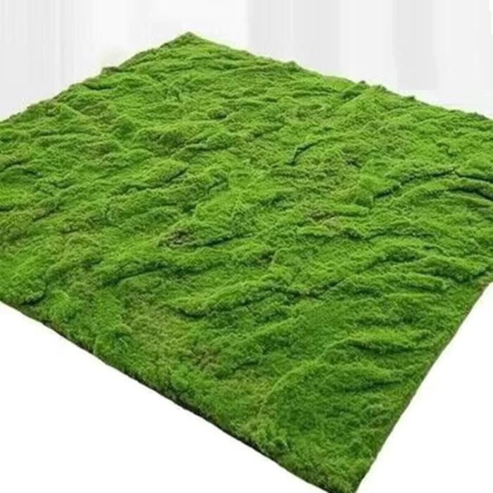 Gazon Artificiel Faux Mousse Tapis D'Herbe De Décor Mur Vegetal Flocage ...