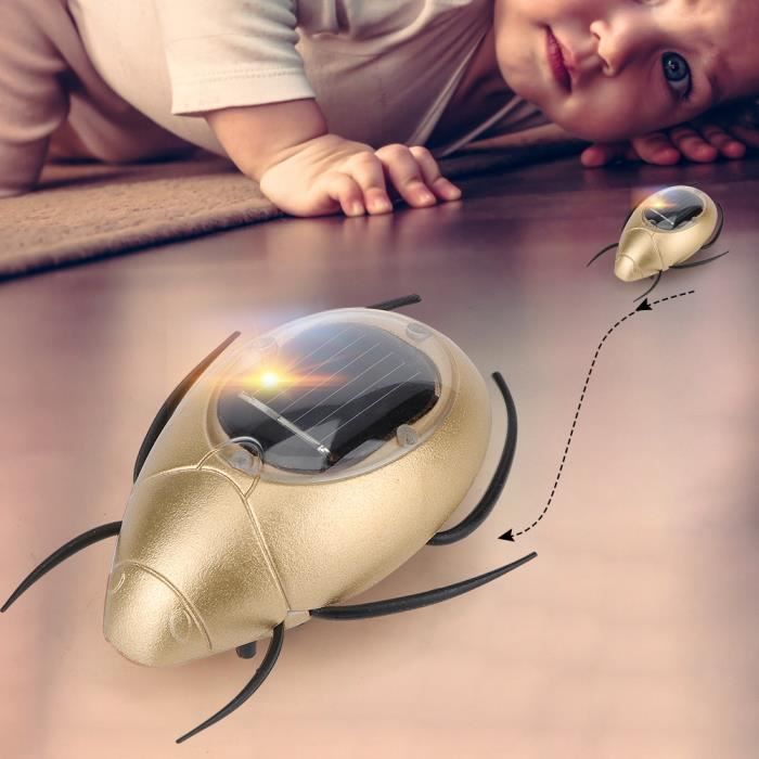 Jouet d'insecte Jouets scientifiques pour enfants, Jouets insectes ...