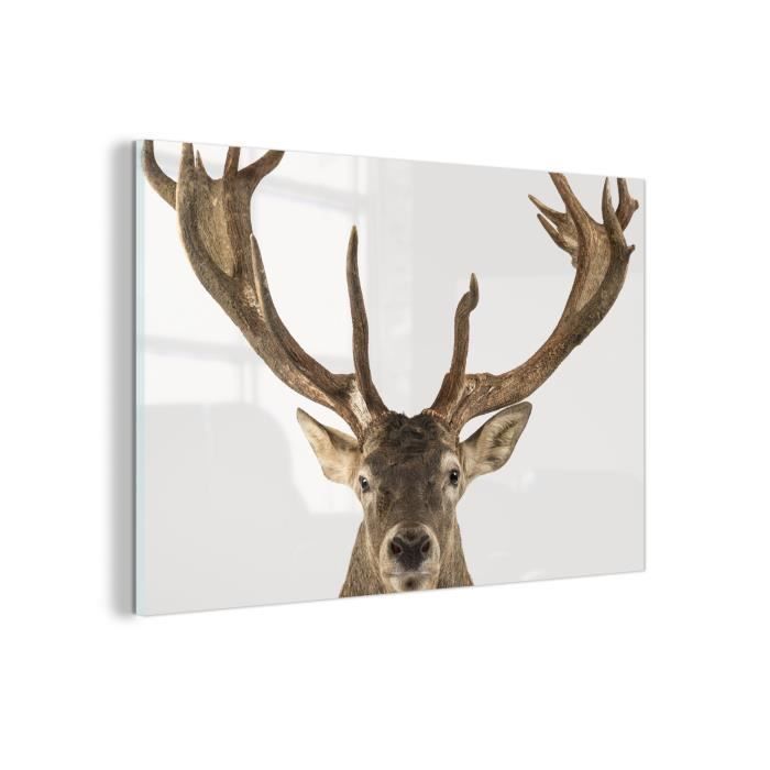 Tableau - Toile - MuchoWow - Paysage - 30x20 cm - Cerf Animaux Bois ...