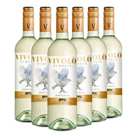 VIVOLO Pinot Grigio Delle Venezie DOC, 6 bouteilles - La cave Cdiscount