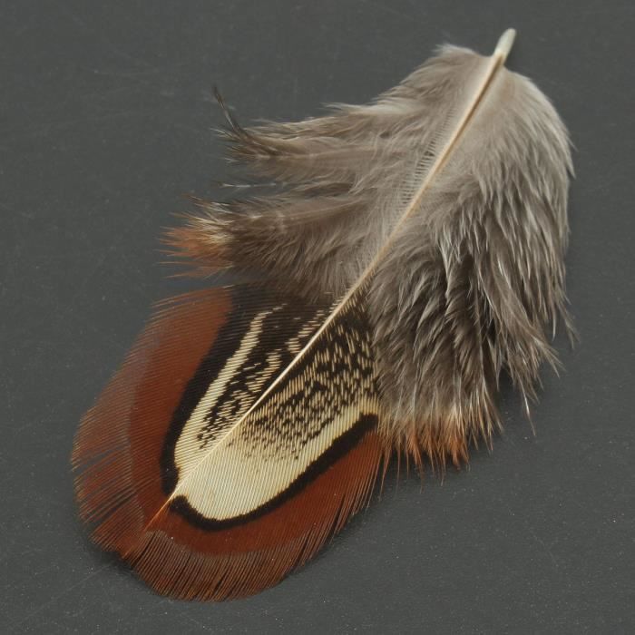 20Pcs Plumes de Faisan Naturel Magnifiques Artisanat Décor Jaune Brun ...