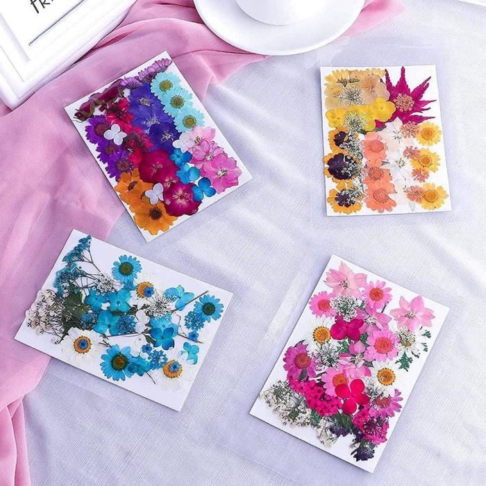 144 Pièces Fleurs Pressées Séchées Naturelles Pour Résine, Kit D'Herbes ...