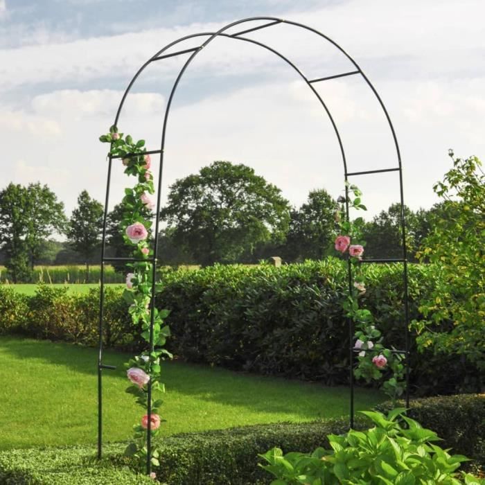 Hi Arche de Jardin pour Plantes Grimpantes et Rosiers – 140x240x37cm ...