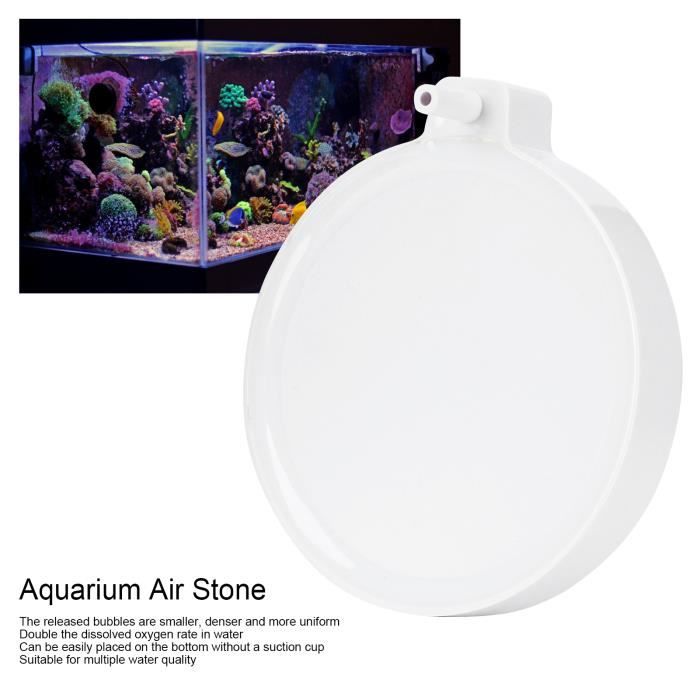 JIA Pierre à air, aquarium, pierre à bulles pour aquariums, disque de ...