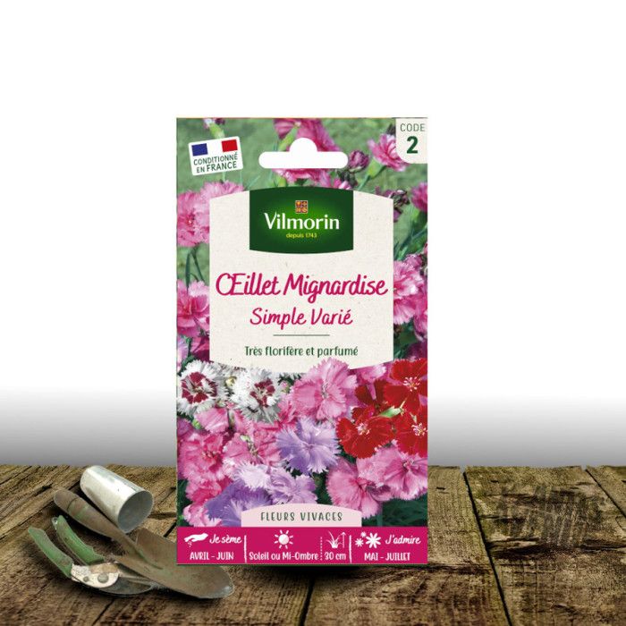 Graines d'Oeillet mignardise Simple - Vilmorin - Cdiscount Jardin