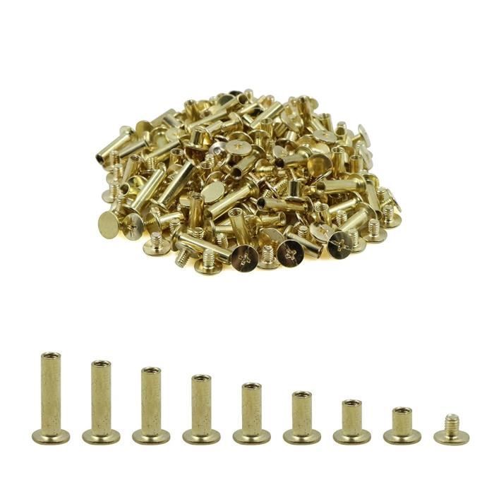 Chicago Vis Fixation en laiton - 80 Pcs 8 tailles M5 x 6-20 mm Rivets à ...