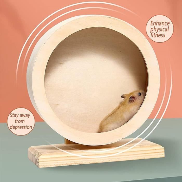 Roue de hamster - Jouet pour Petits Animaux - Roue d'exercice ...