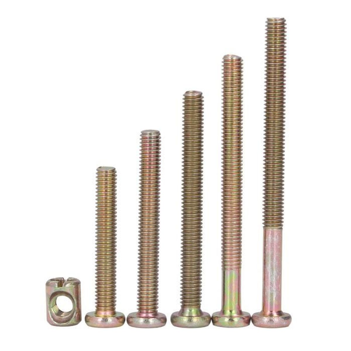 WONG--Cikonielf Écrou de marteau - 100 pcs vis de fixation de meubles en acier inoxydable à ...