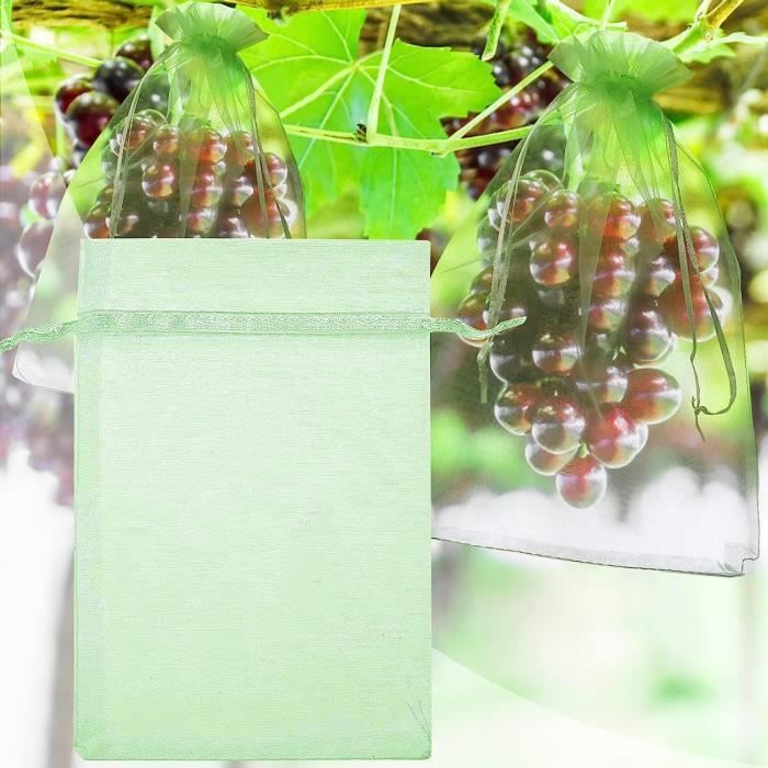 Sachet de Protection Fruits - AMOUNE - 50 pcs - 30x20cm - Vert ...
