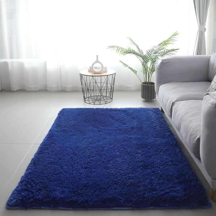 Tapis Salon Shaggy Tapis Chambre Dinvité Grand Tapis Doux Chambre Tapis Contemporain Salon