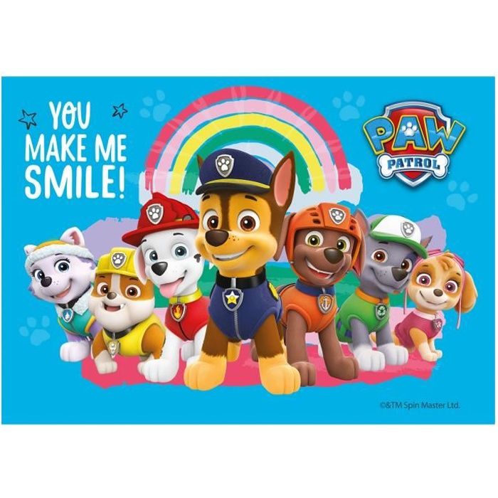 DECOR PLAQUE FONDANT PAT PATROUILLE DECOR GATEAU ANNIVERSAIRE PAW ...