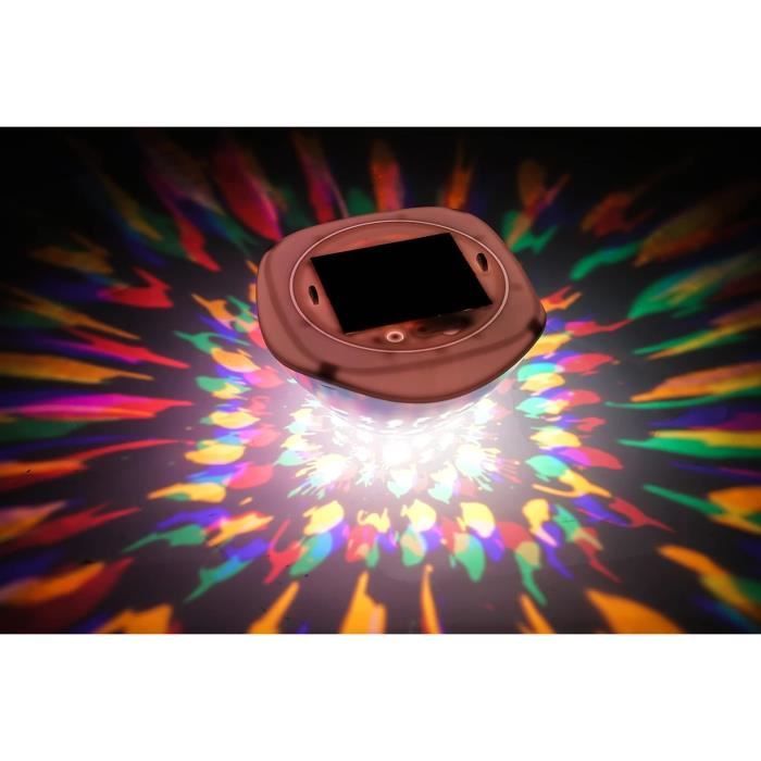 Lampes De Piscine Flottantes À Énergie Solaire Multicolores Changeant ...