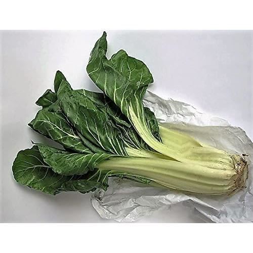 300 Lucullus Swiss Chard (Beta Vulgaris Blanc Perpétuel D'Épinards ...