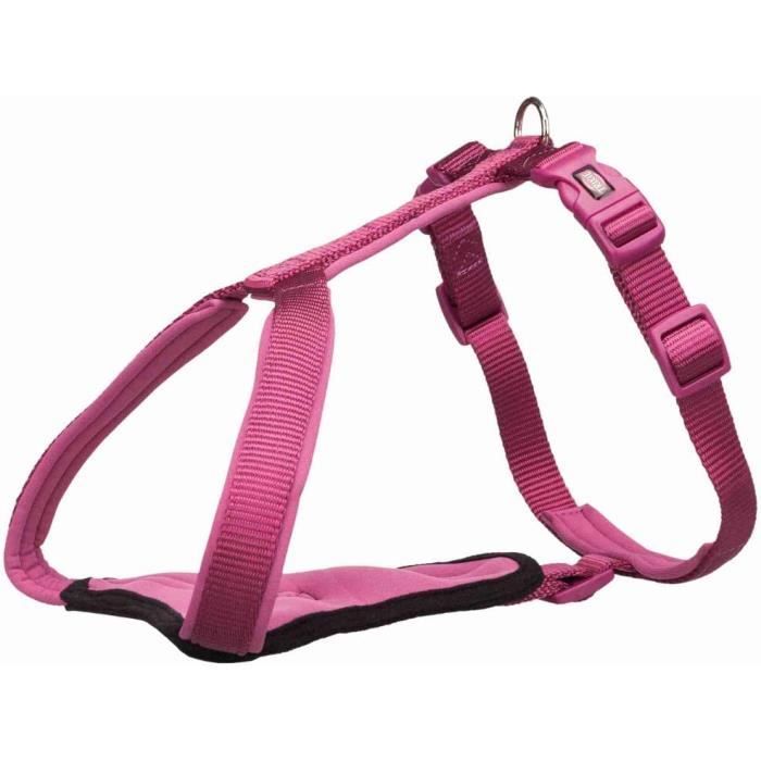 Harnais Classiques Pour Chiens - Y Chien - Cdiscount