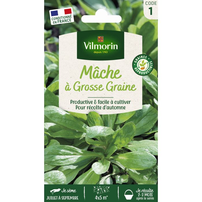 Graines - Vilmorin - Mâche à Grosse Graine - Cdiscount Jardin