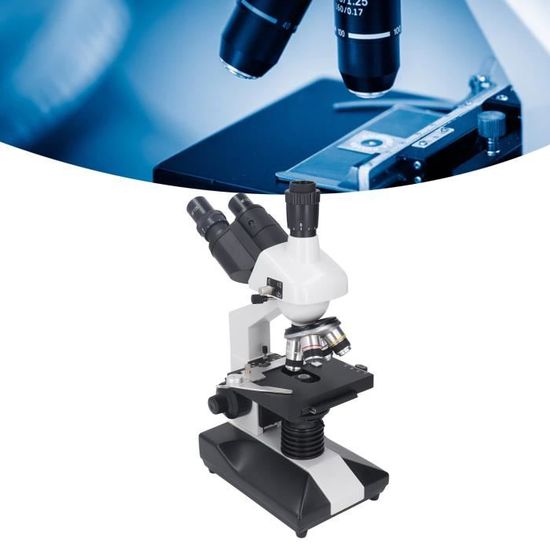 Microscope électronique 40X à 5000X Microscope de laboratoire pour la ...