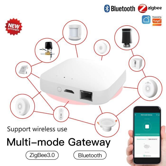 Hub multimode - interrupteur Bluetooth à 2 gangs, Module de bricolage ...