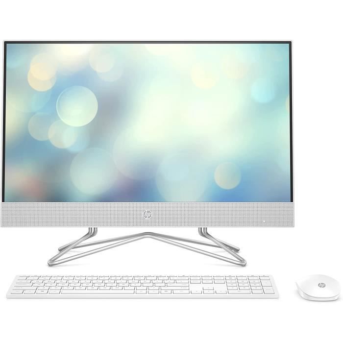 HP 24-df1003ng 23.8" 1920 x 1080 Pixels 11e generation de processeurs ...