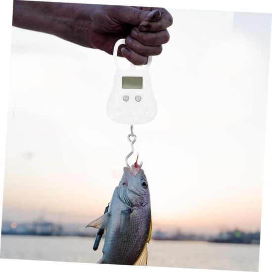 Balance Suspendue Portable Pèse-valise Balance De Cuisine Suspendue ...