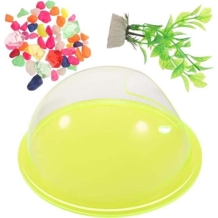 Bocal À Poisson Rouge Mural Aquarium À Betta Planteurs De Propagation ...