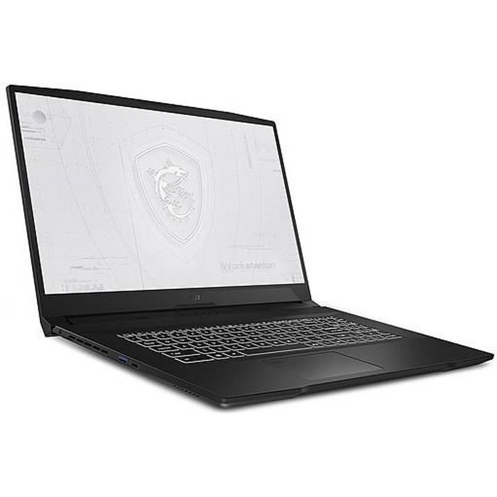 Pc Portable MSI WF76 11UI 259FR - 17.3" - CORE I7 11800H - 16 GO RAM ...
