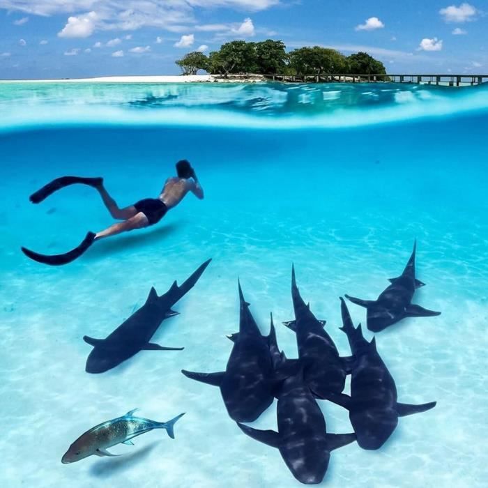 Zerone Boîtier étanche dôme SHOOT Diving Dome Port Filtre de boîtier étanche pour 7 6 5 ...