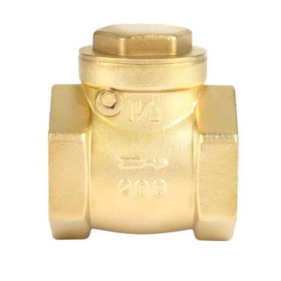 YOSOO Clapet anti-retour Check valve DN40 BSP 1-1 / 2 'Oscillating type ...