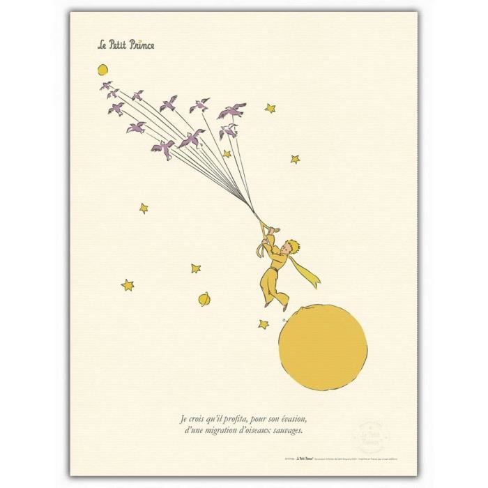 Posters et affiches - Poster affiche d'art Oneart (Le Petit Prince avec ...