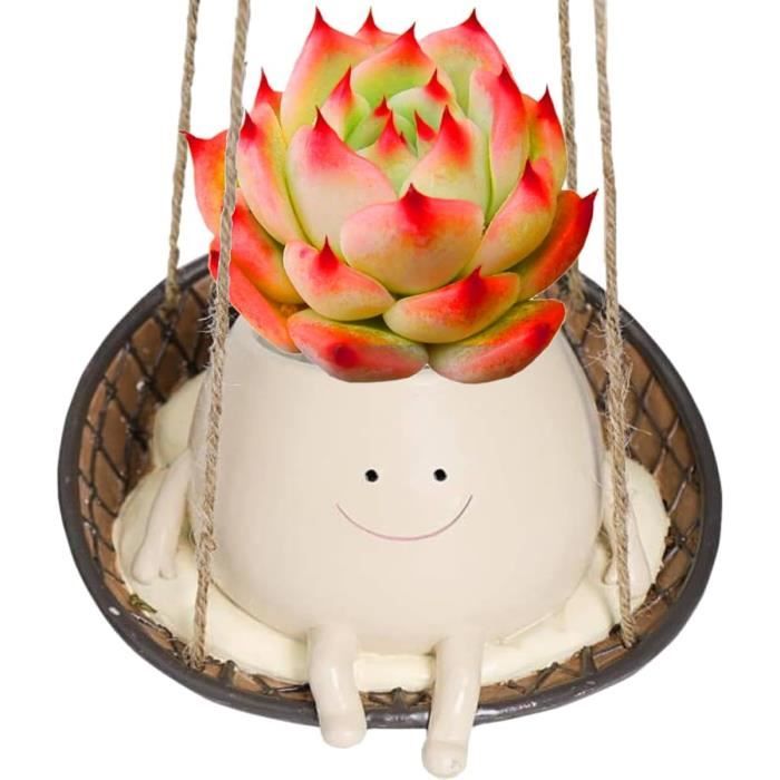 Pot De Fleurs Suspendu, Visage Oscillant, Pot De Fleurs Suspendu Avec ...