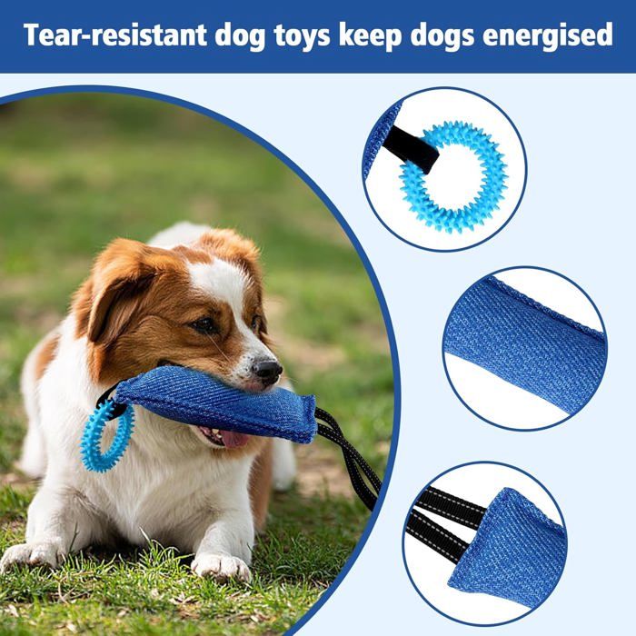 Jouet Chien Indestructible,Boudin Jouet Pour Chien Interactif,Mâcher ...